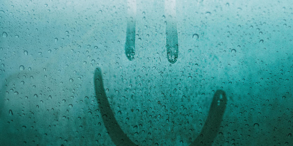 How to prevent condensation on windows overnight? — InStock