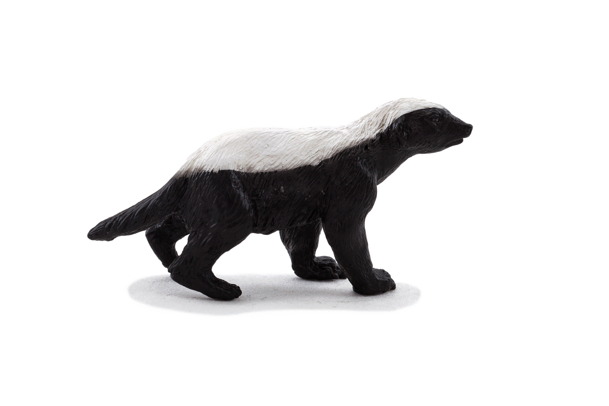 Honey Badger Male Toy Realistic Wildlife Figurine — InStock