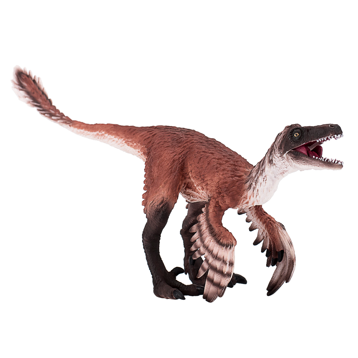 Troodon with Articulated Jaw Realistic Dinosaur Model — InStock